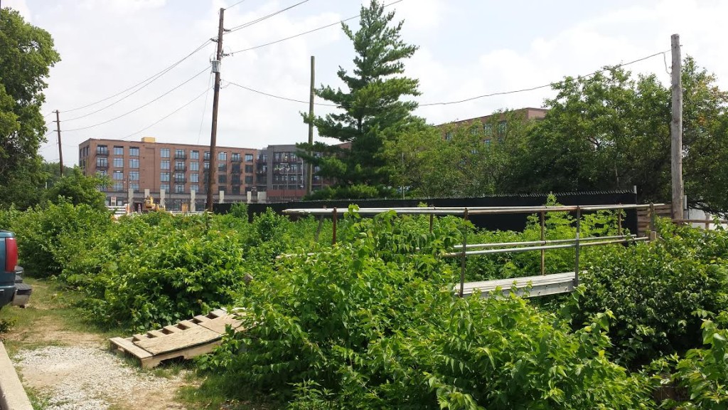 Ironworks: A Temporary Bridge